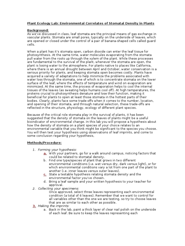 Stomata Lab | PDF | Stoma | Organisms