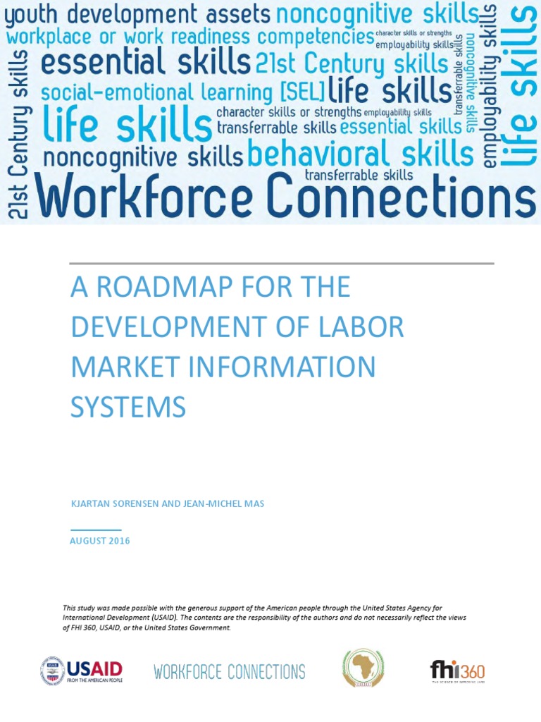 LMIS Systems | PDF | Labour Economics | Employment