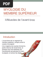 Anatomie des muscles de l'avant-bras | PDF | Main | Membres (anatomie)