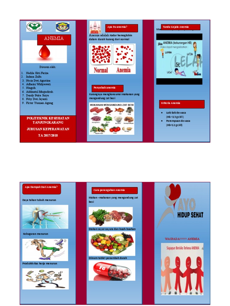 Leaflet Anemia | PDF