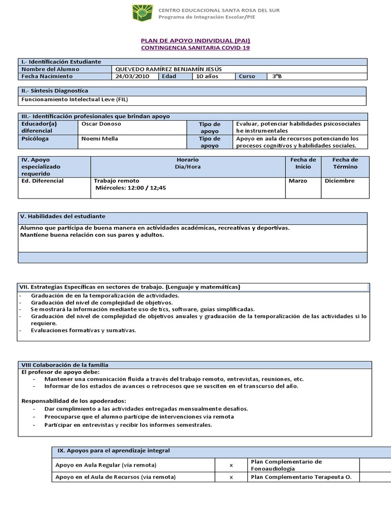 FORMATO PAI 2020 Benjamin Quevedo | PDF | Plan de estudios | Aprendizaje