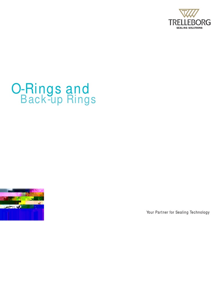 O Ring GB en PDF | PDF | Organic Polymers | Chemical Substances