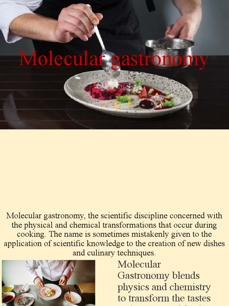 Molecular Gastronomy Explained | PDF
