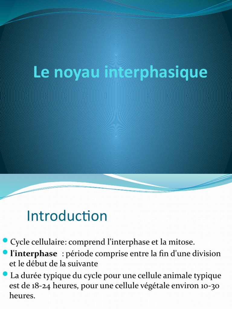 Le Noyau Interphasique Cours | PDF | Noyau (biologie) | Chromatine