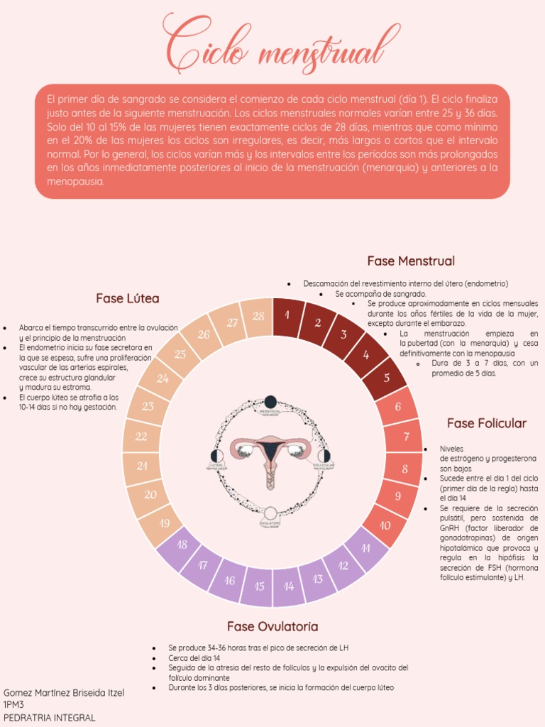 Ciclo Menstrual 1 | PDF | Ciclo menstrual | Menstruación