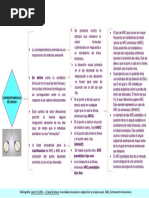 05 Tejidos Epiteliales III Especializaciones Del Dominio Basolateral ...