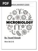 Micropara Lab Notes | PDF | Bacteria | Microbiology
