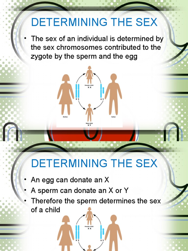 Sex Linkage 2 Pdf Genetic Disorder Dominance Genetics