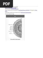 Colorimetric | PDF | Color | Hair