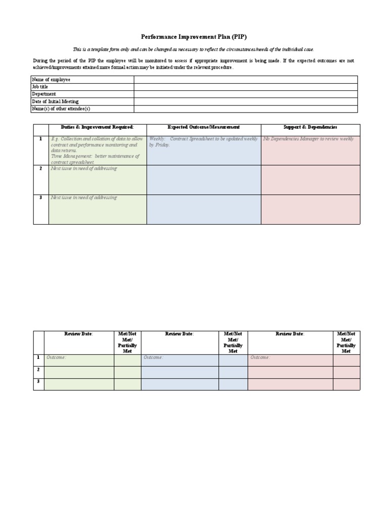 PIP Declaration Form Template | PDF
