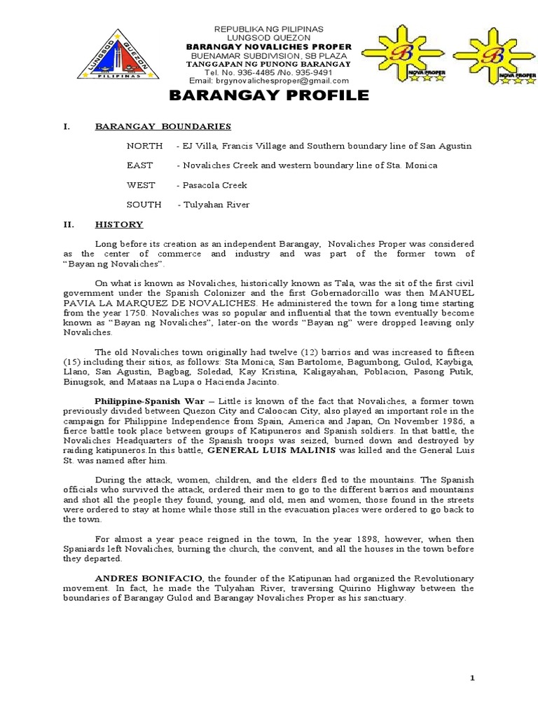 Barangay Profile 2016 | PDF | Philippines