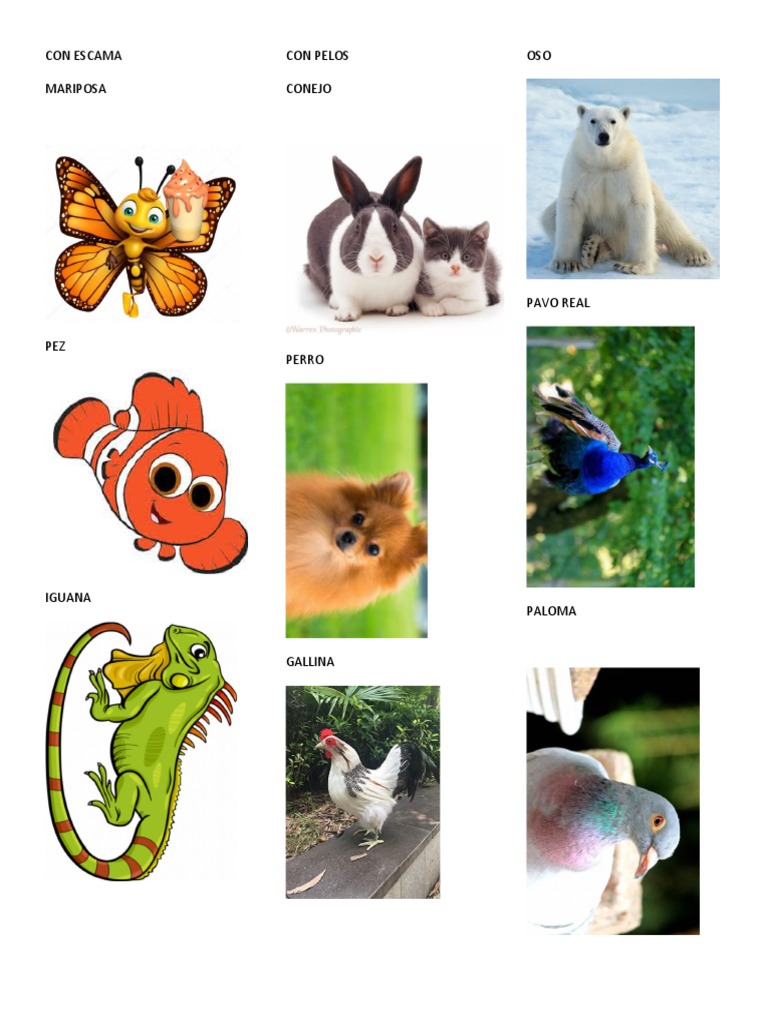 Animales Con Escama, Plumas, Pelos Etc | PDF