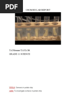 Integrated Science Labs For 2022 To 2023 | PDF | Osmosis | Sodium Chloride