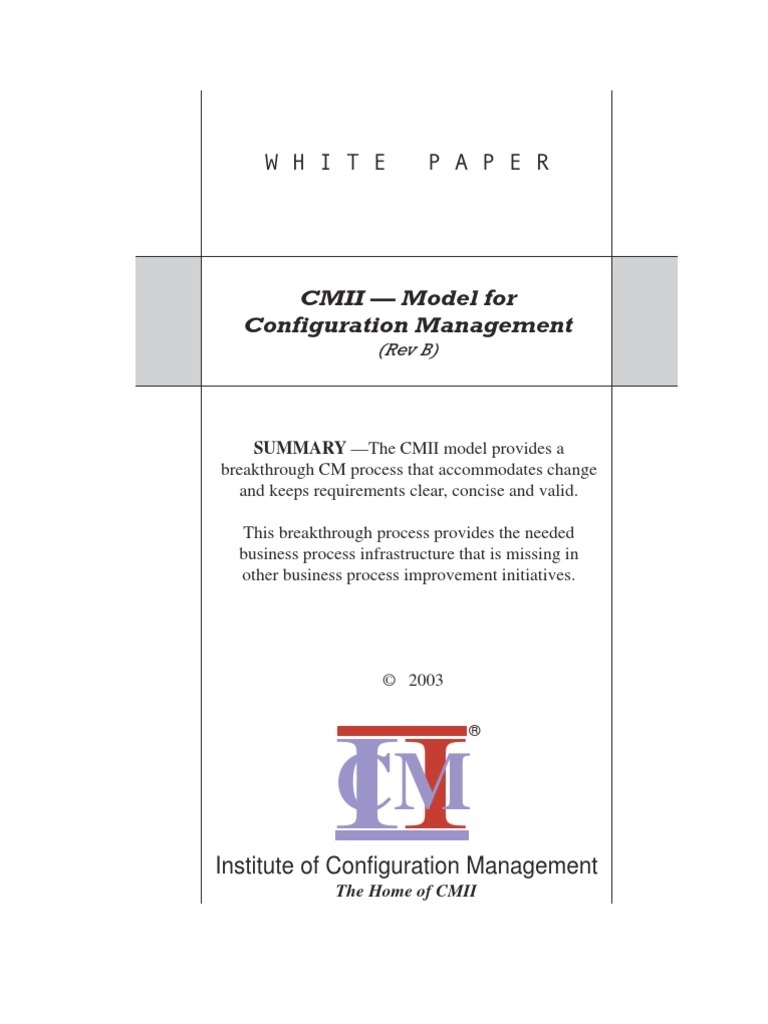 White Paper - ICM - CMII Model - RevB | PDF | Business Process ...