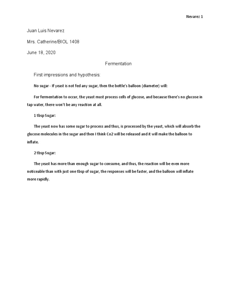 Lab 2 - Fermentation | PDF | Cellular Respiration | Fermentation