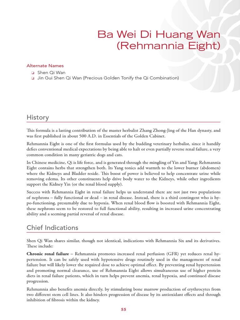 Ba Wei Di Huang Wan (Rehmannia Eight) : History | PDF | Diabetes ...