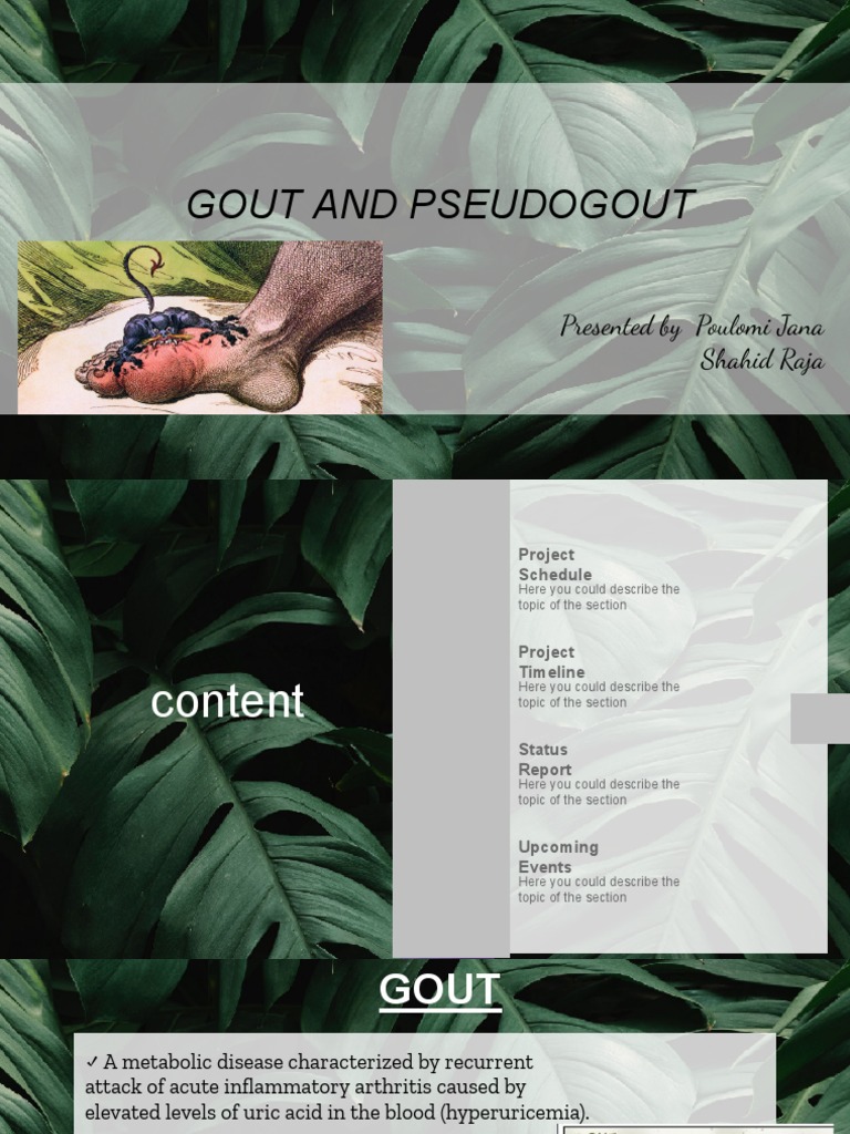 Differential Diagnosis and Treatment of Gout and Pseudogout | PDF ...