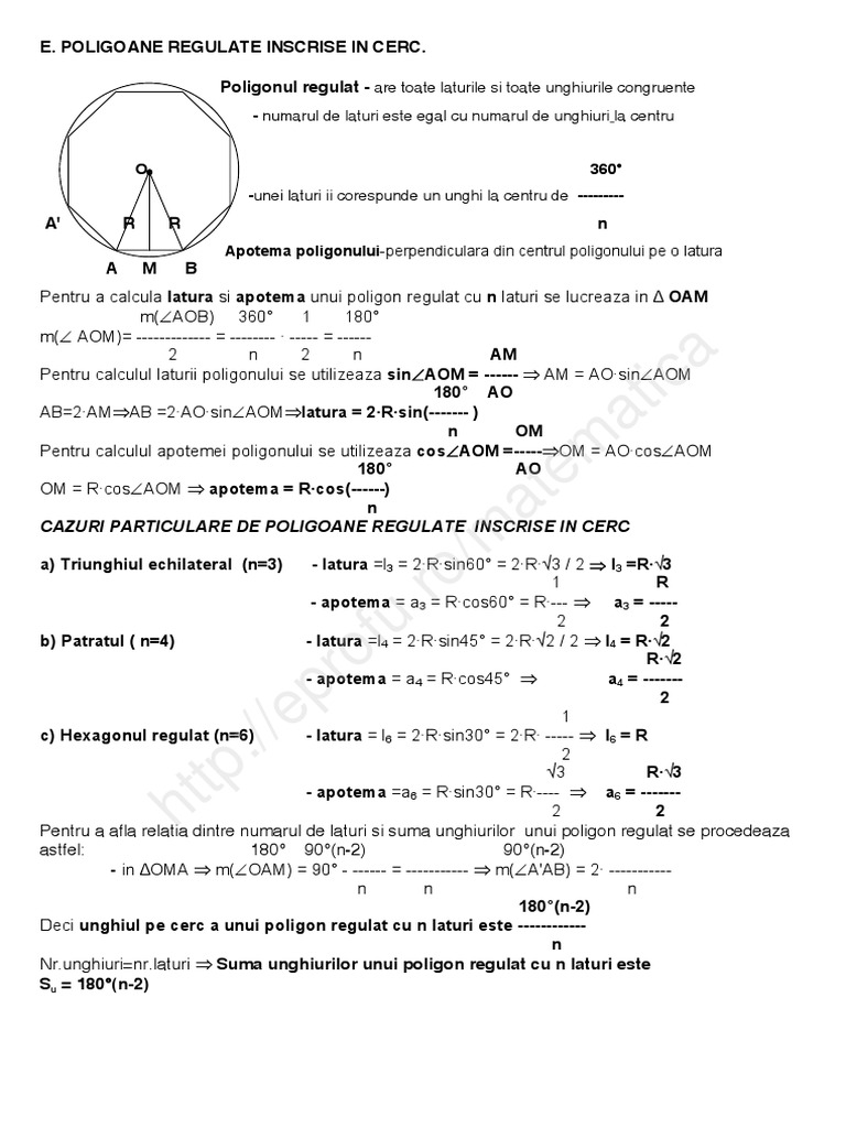 Poligoane Regulate Teorie | PDF