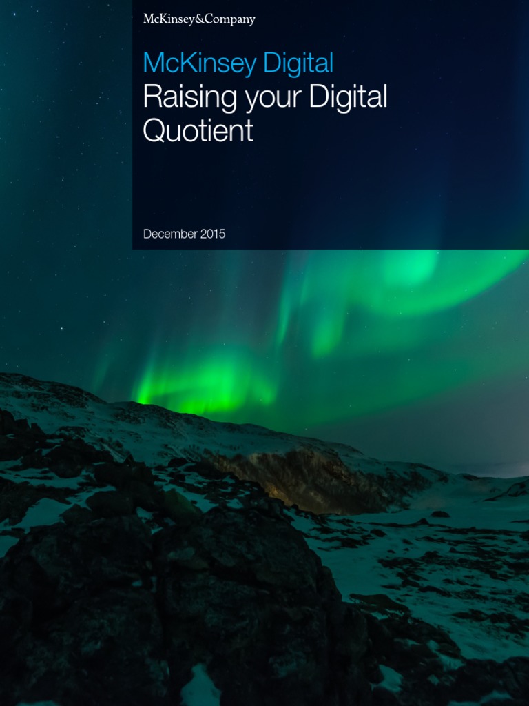 Raising Your Digital Quotient | PDF | Analytics | Customer Experience
