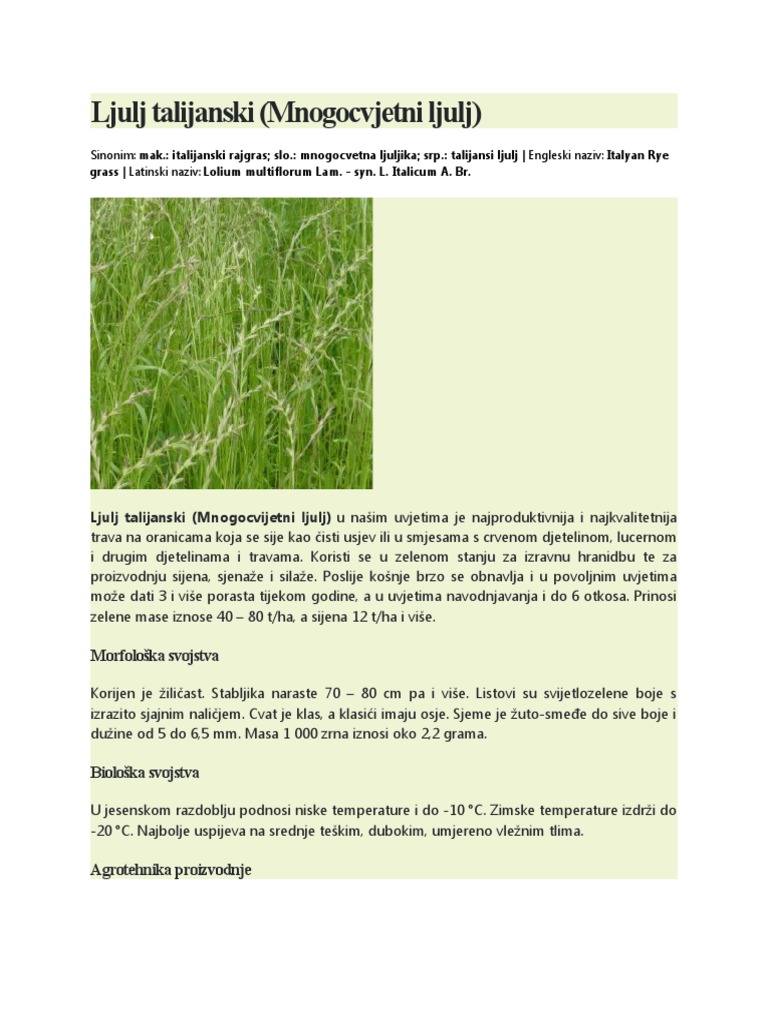 Ljulj Talijanski | PDF