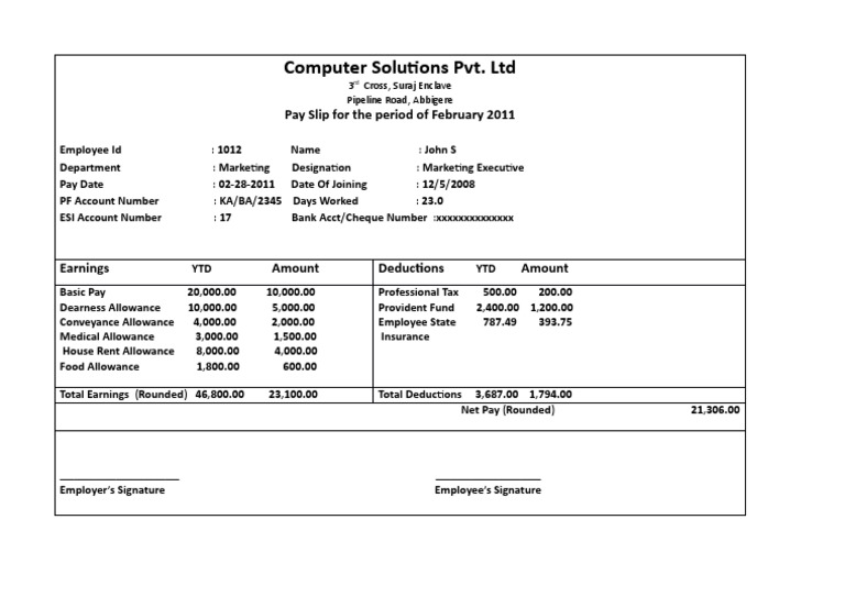 Computer Solutions Pvt. LTD: Pay Slip For The Period of February 2011 | PDF