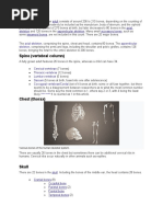 206 Human Bones Detailed Chart | PDF