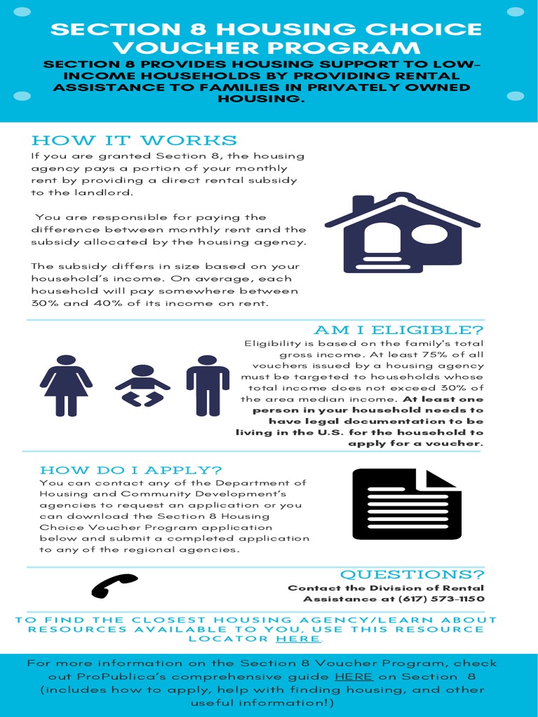 Section 8 Infographic | PDF