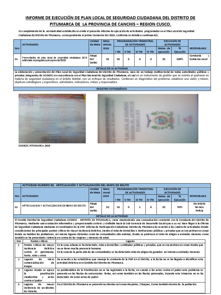 Primer Informe Trimestral de Codisec-2019 | PDF | Policía | Crimen y violencia