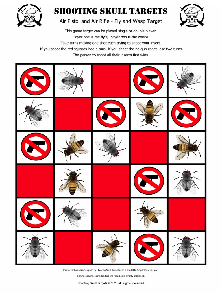 Shooting Skull Targets - Fly and Wasp Game Target PDF | PDF