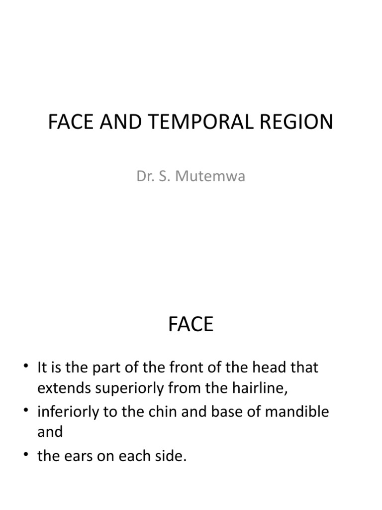 Anatomy of the Facial and Temporal Regions | PDF | Human Nose | Human ...