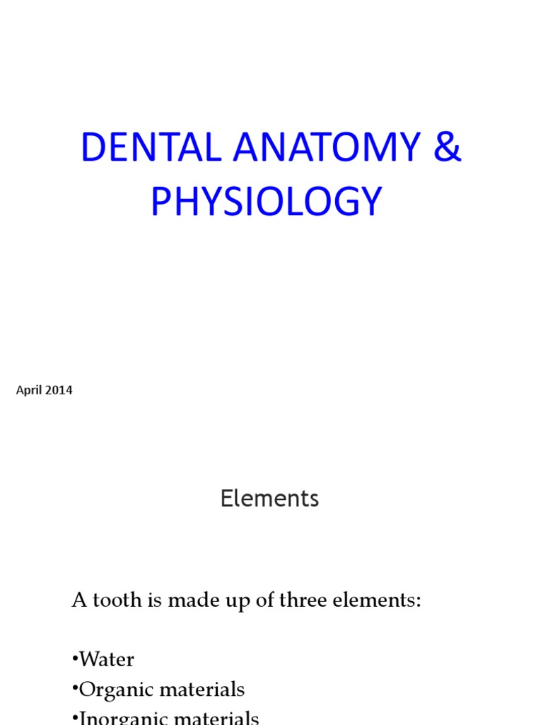 Dental Anatomy and Physiology Explained | PDF | Human Tooth | Tooth