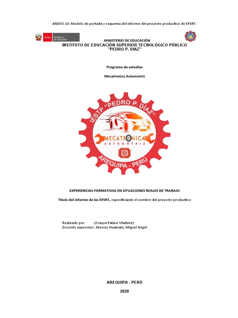 Informe Final de Proyecto | PDF