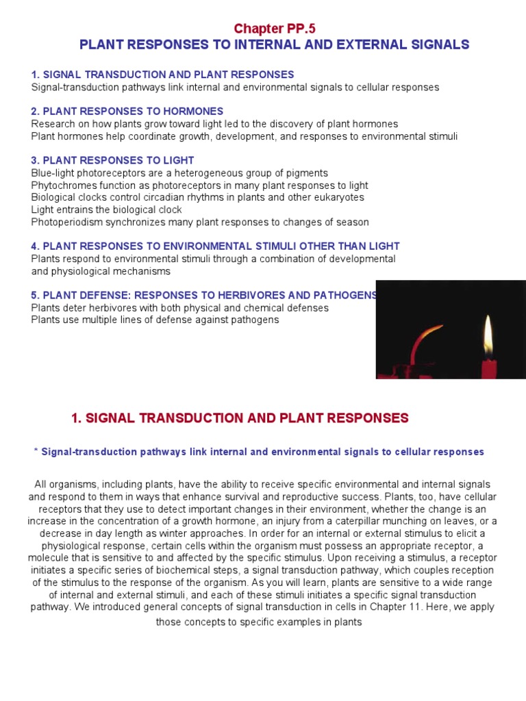 Chapter PP.5 (Signals) | PDF | Auxin | Signal Transduction
