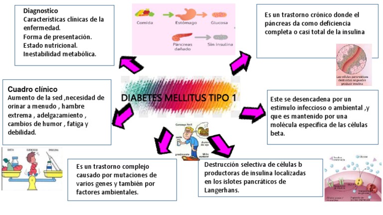 Diabetes Mellitus Tipo 1 | PDF