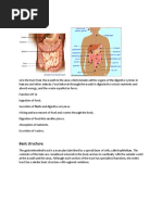 Nasatapp: Uses and Dosage Guide | PDF | Medical Specialties | Clinical ...