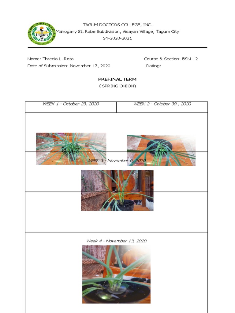Spring Onion Growth Journal 2020 | PDF