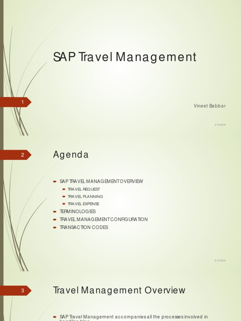 SAP Travel Management Guide | PDF | Per Diem | Credit Card