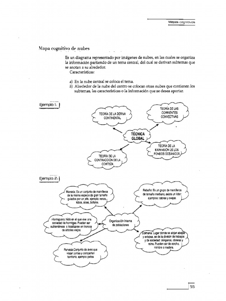 Mapa Cognitivo de Nubes | PDF | Himenópteros | Organismos