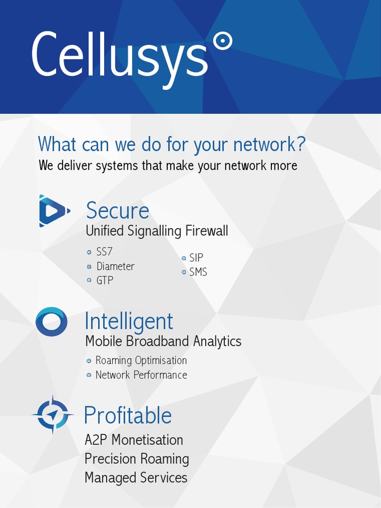Enhancing Network Security, Intelligence, and Profitability Through ...