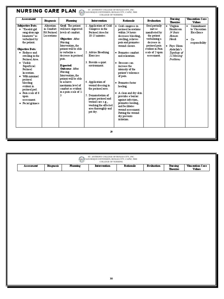 Nursing Care Plan | PDF | Breastfeeding | Wound