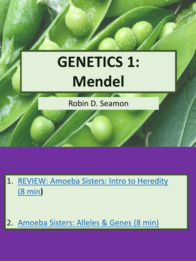 Genetics 1: Mendel: Robin D. Seamon | PDF | Dominance (Genetics) | Zygosity