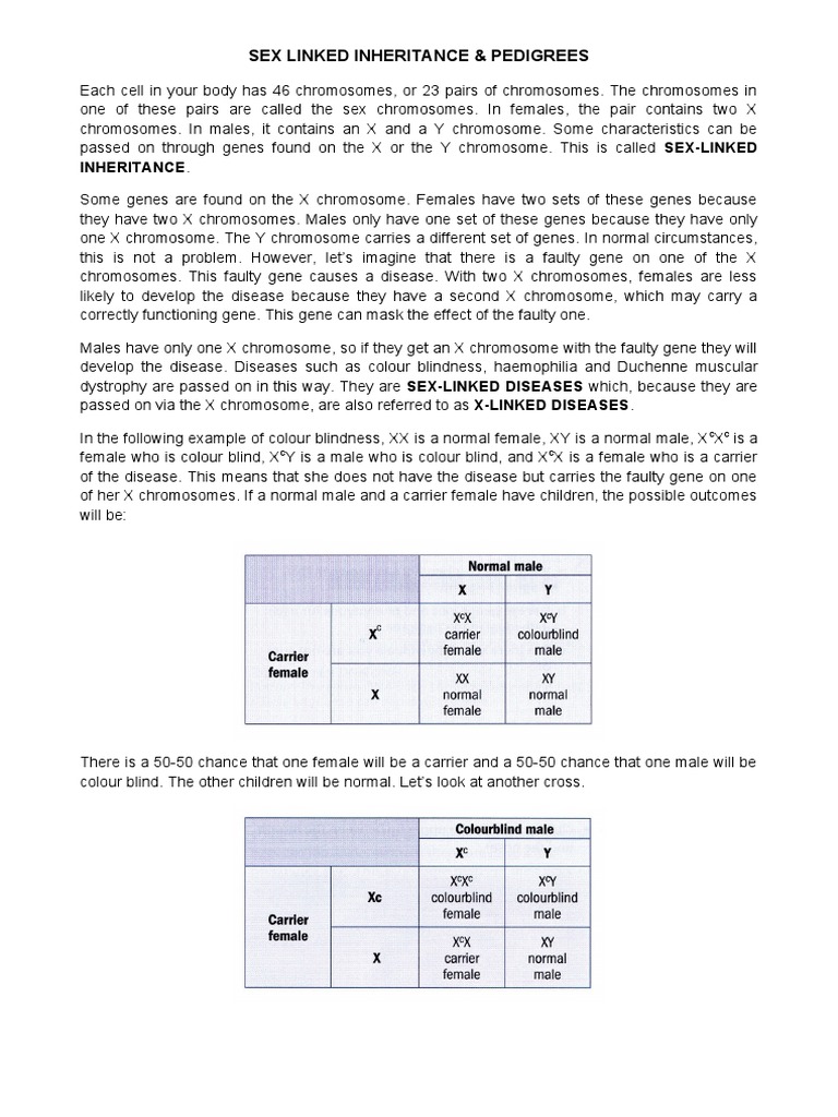 Sex-Linked Inheritance & Pedigrees | PDF | Dominance (Genetics) | Genotype