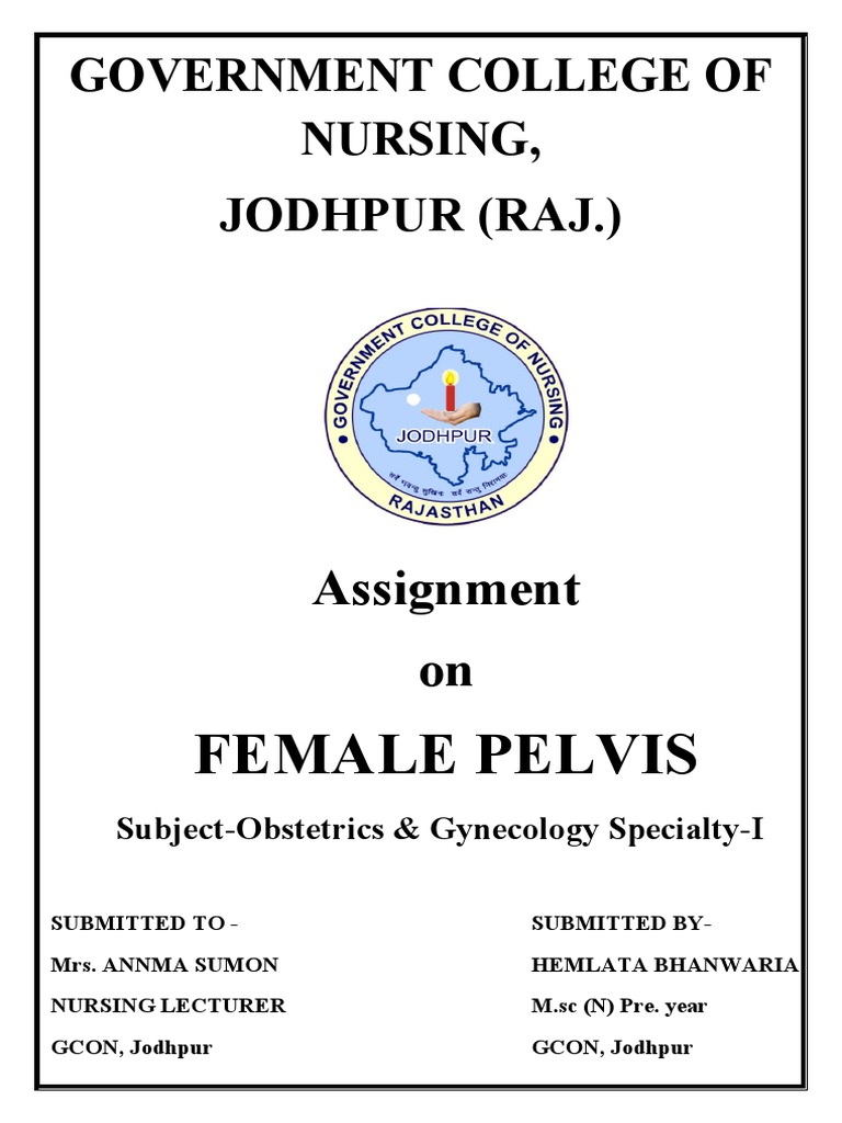 Anatomy and Dimensions of the Female Pelvis: A Comprehensive Overview ...