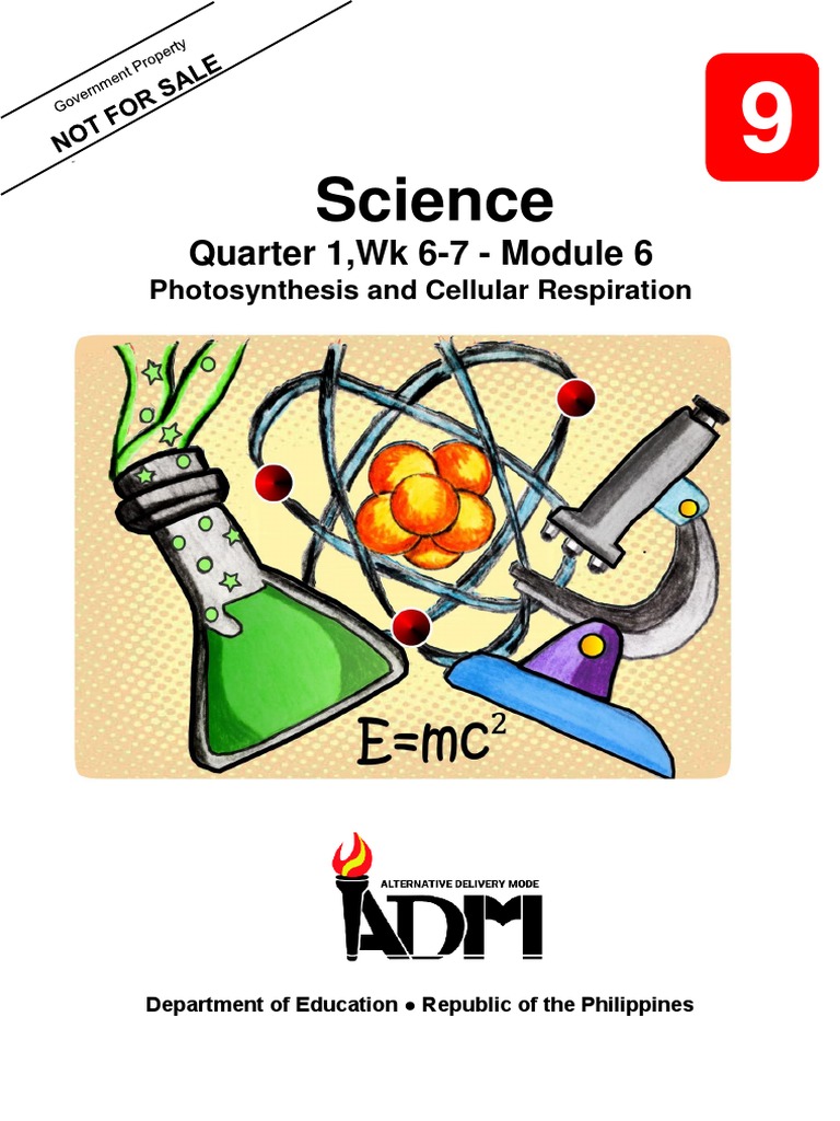 Science Quarter 1 Module 6 | PDF | Cellular Respiration | Photosynthesis