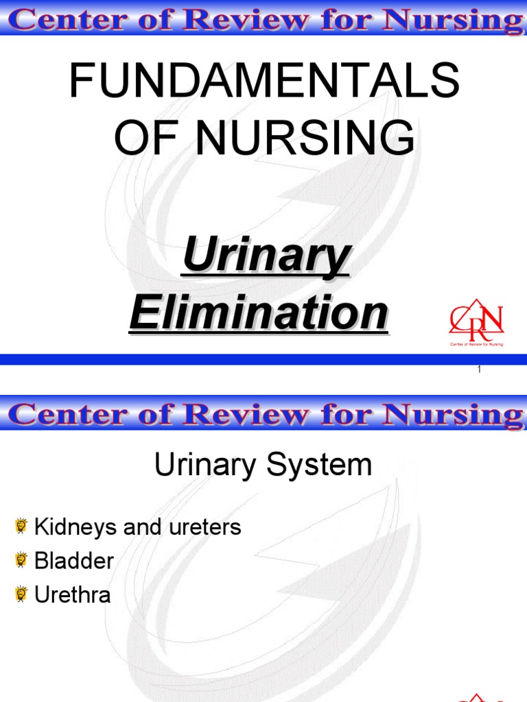 Fundamentals of Nursing: Urinary Elimination | Download Free PDF ...
