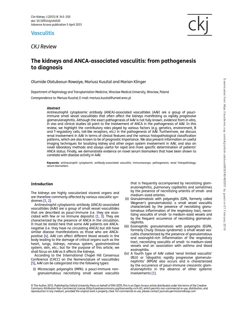 The Kidneys and ANCA-associated Vasculitis: From Pathogenesis To ...