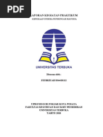 Template PPT UT | PDF