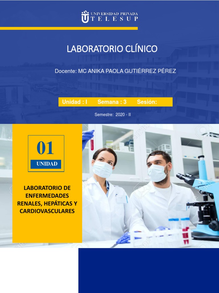 Laboratorio clínico de pruebas hepáticas | PDF | Transaminasa | Hepatitis