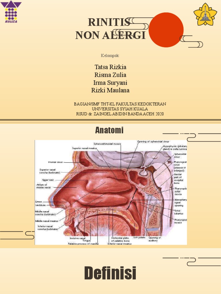 Panduan Rinitis Non Alergi | PDF