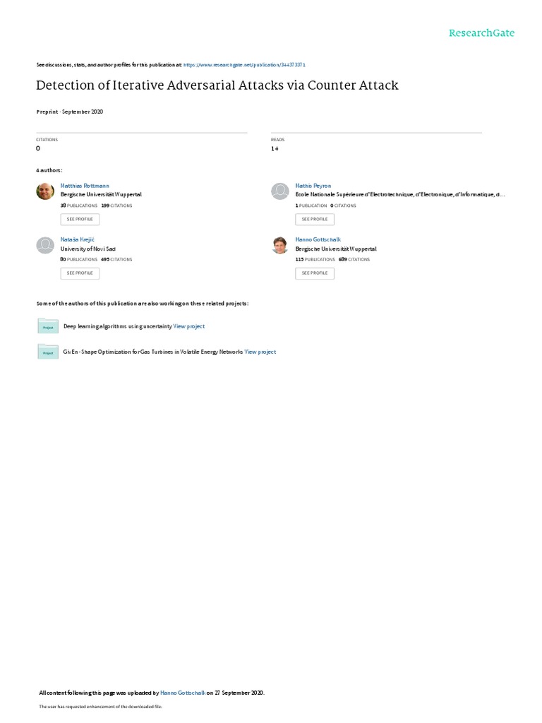 Detection of Iterative Adversarial Attacks Via Counter Attack | PDF | Deep Learning | Receiver ...